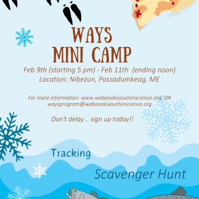 Home - Wabanaki Youth In Science